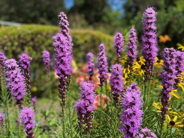 New York 郊外の生活